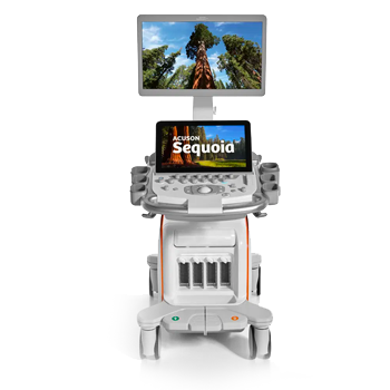 Siemens Healthcare Ultrasound Systems For Sale & Rental – Page 2 ...